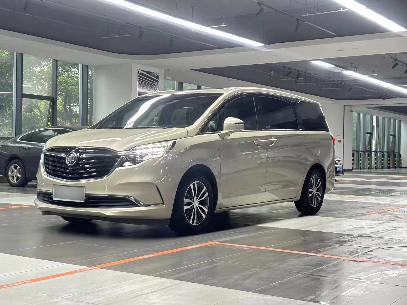 Customized Buick ES Land Chief 653T - Low Mileage, Impeccable Condition ...