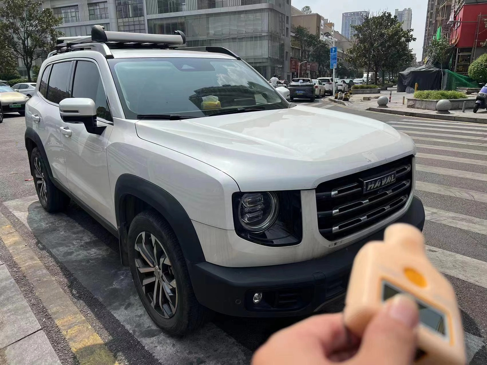 Pristine Haval Big Dog Border Collie - 2021 Auto, 55K Mileage, Original Paint - Comprar e ...