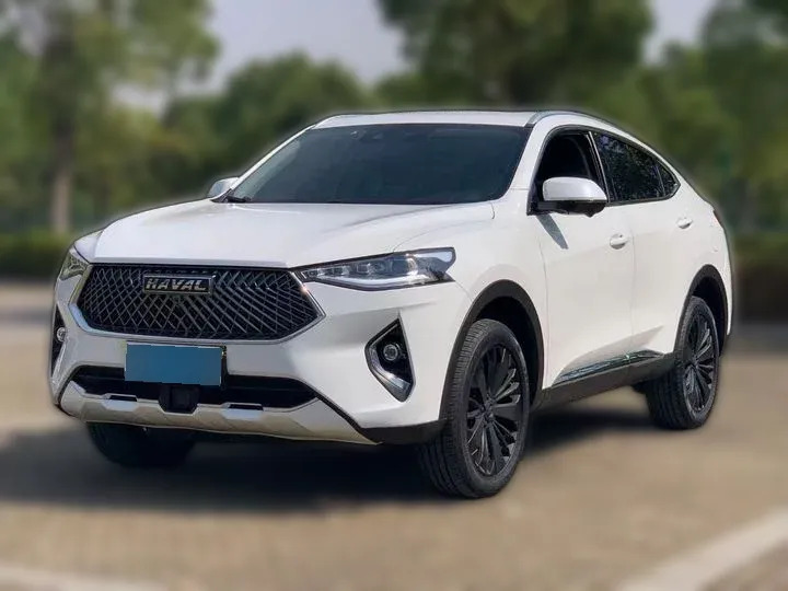 Used 2021 Haval F7x for Export from China ACU5255431 | AutoCango