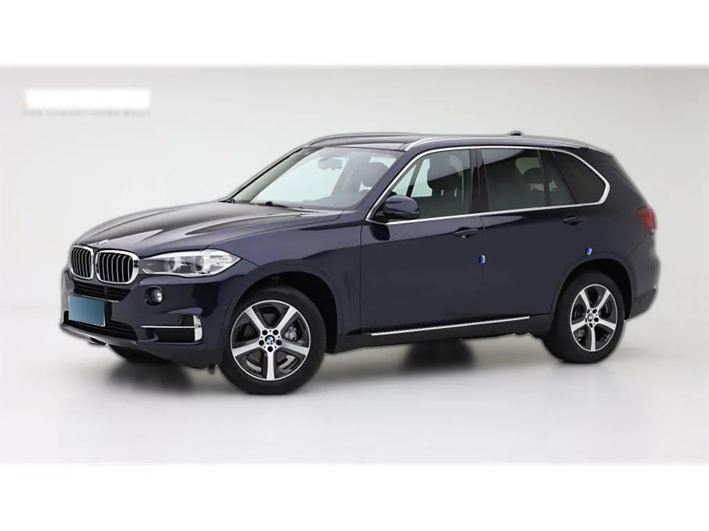 Used 2018 BMW X5 for Export from China ACU5293960 | AutoCango