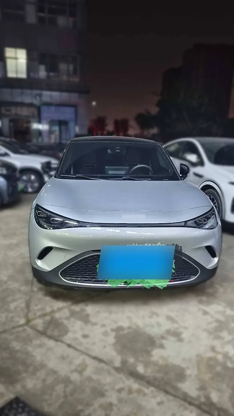 Used 2023 Smart smart Elf 3 for Export from China ACU5368503 | AutoCango