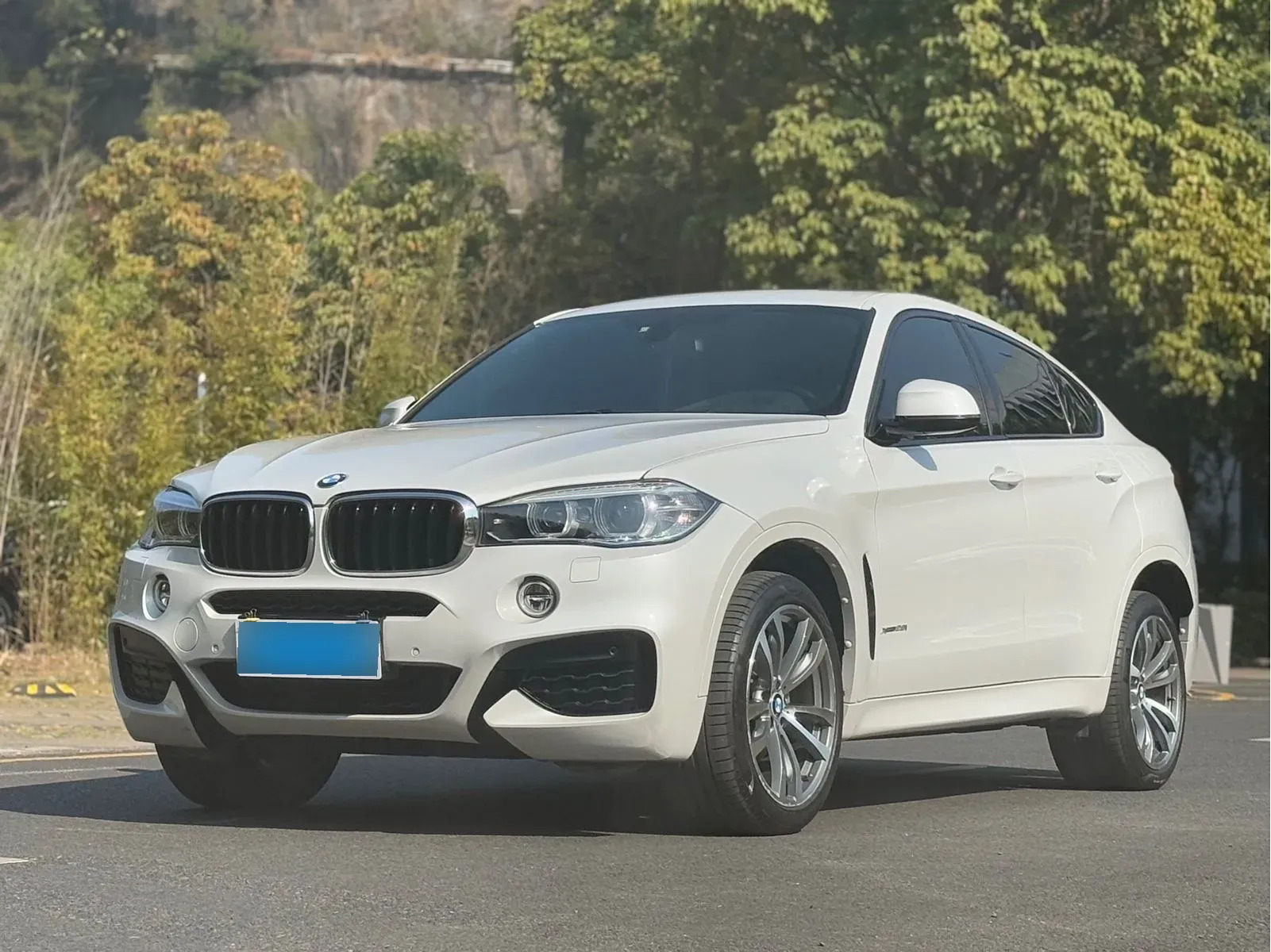 Used 2019 BMW X6 for Export from China ACU5259387 | AutoCango