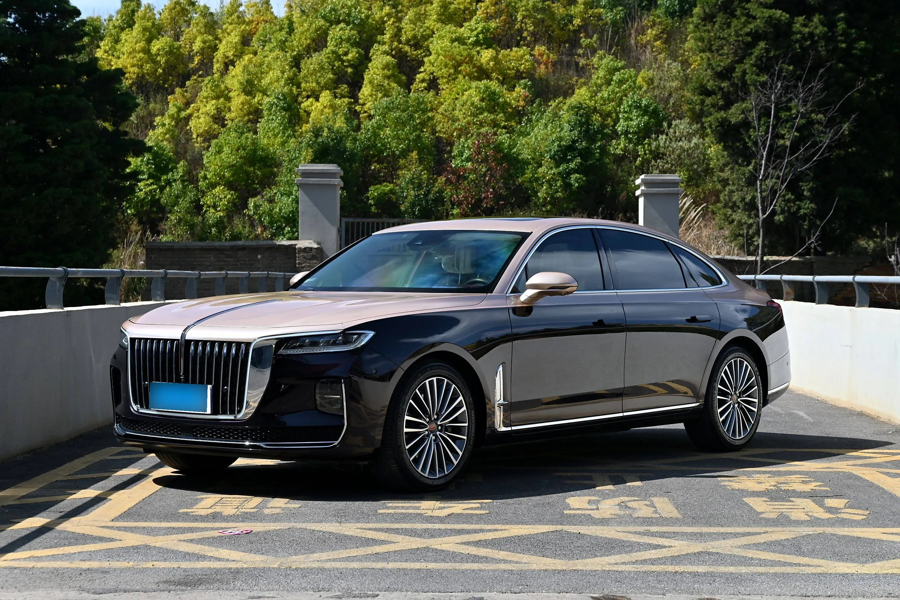 Used 2020 HongQi H9 for Export from China ACU5381507 | AutoCango