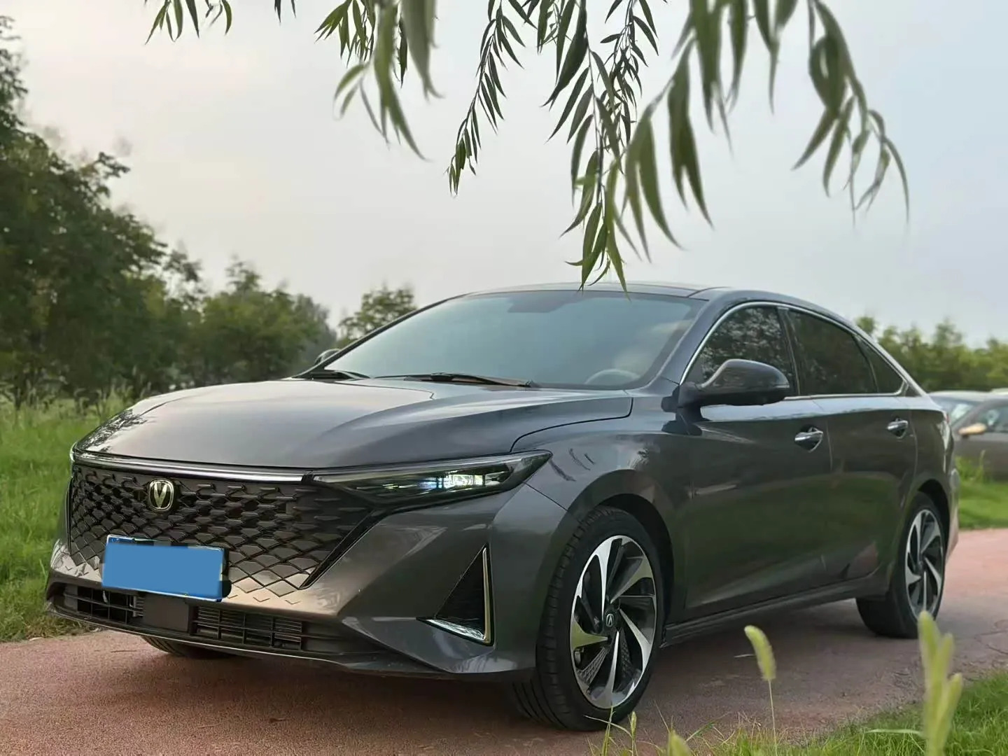 Used 2023 ChangAn Raeton Plus for Export from China ACU5683015 | AutoCango