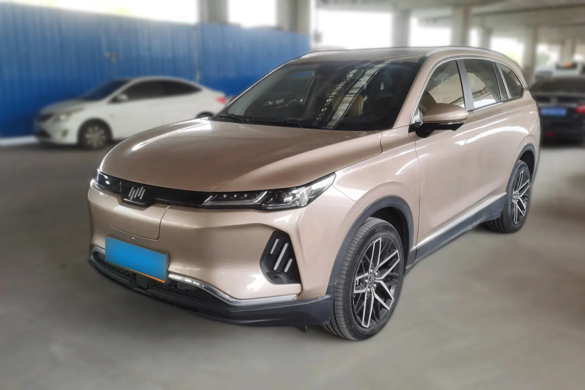 Used 2020 Weltmeister EX6 for Export from China ACU2739674 | AutoCango