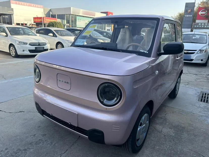 Used 2024 Geely Galaxy Panda for Export from China ACU5010443 | AutoCango
