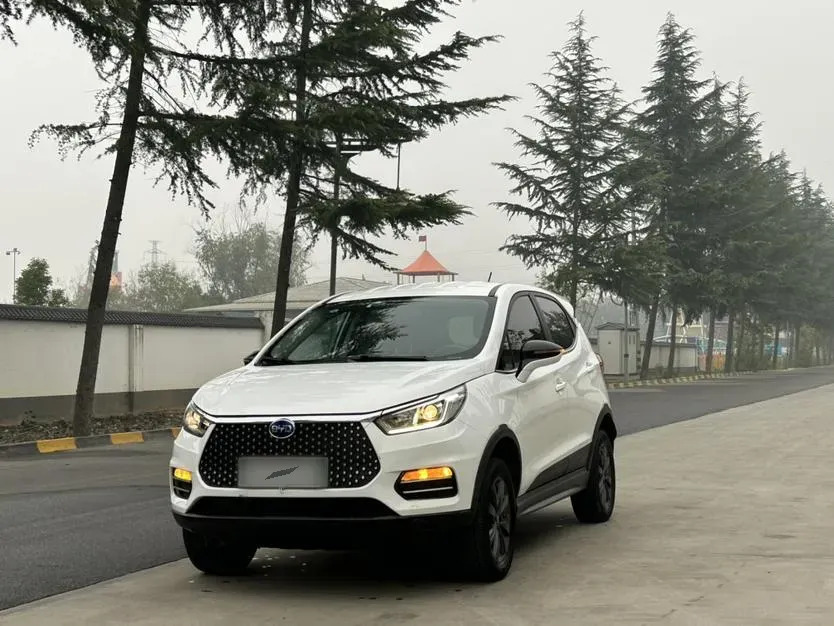 Used 2019 BYD S2 for Export from China ACU5222812 | AutoCango