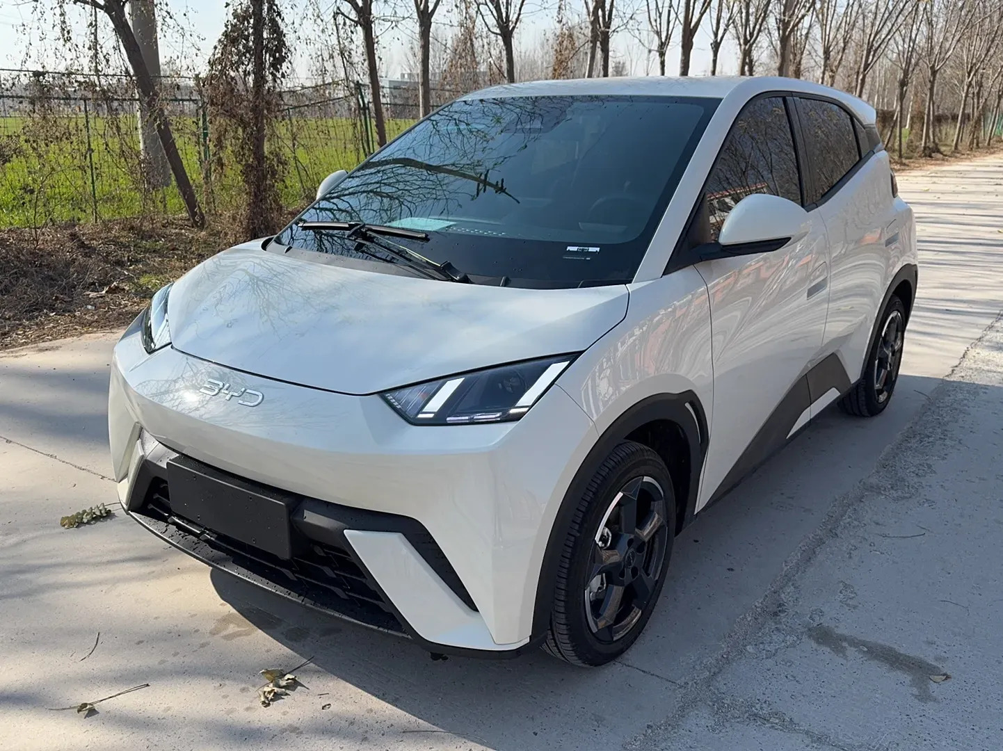 Used 2024 BYD Seagull for Export from China ACU5165980 | AutoCango