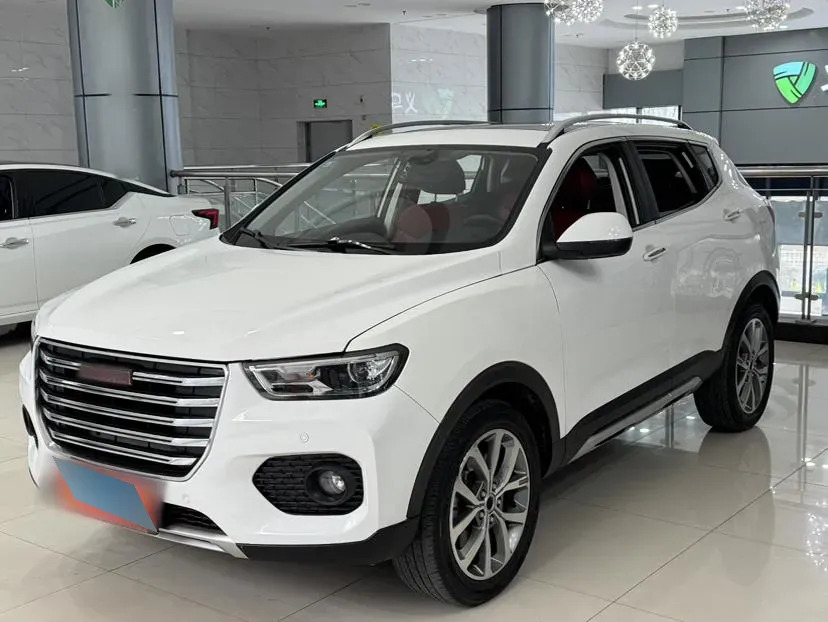Used 2017 Haval H2s for Export from China ACU5151181 | AutoCango