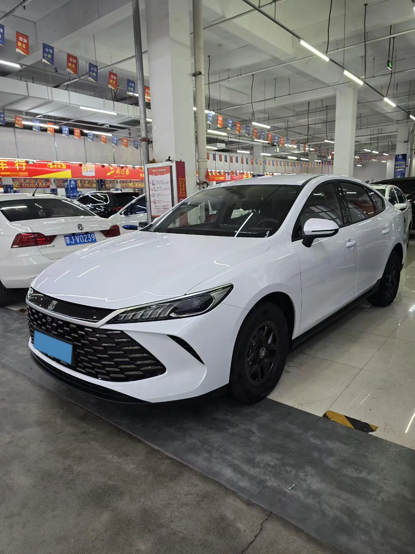 BYD Qin Plus 2025 1.5L 101HP L4 Coche Usado del Año para Exportación desde China ACU9540861 ...