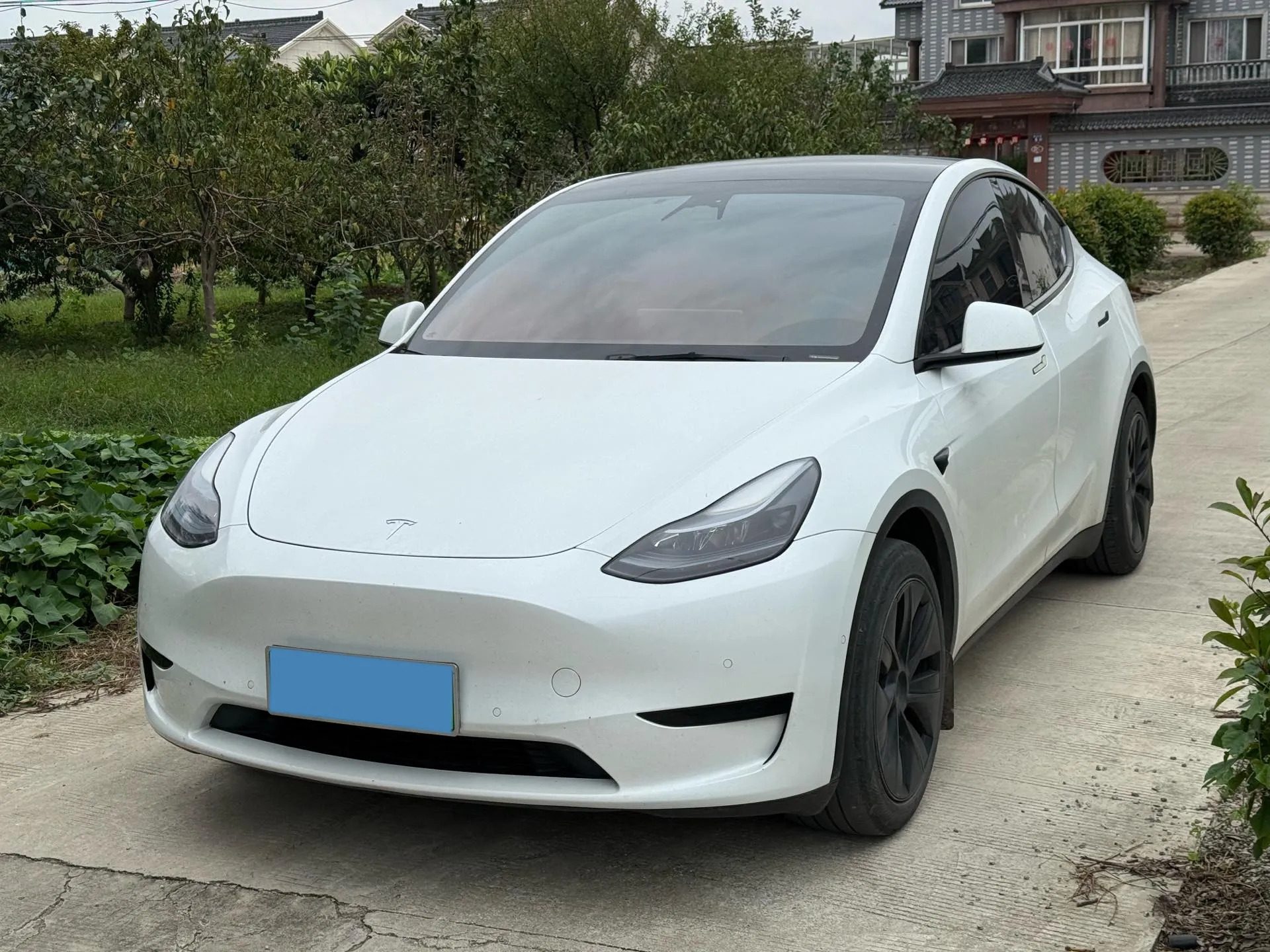 Used 2023 Tesla Model Y for Export from China ACU9545084 | AutoCango