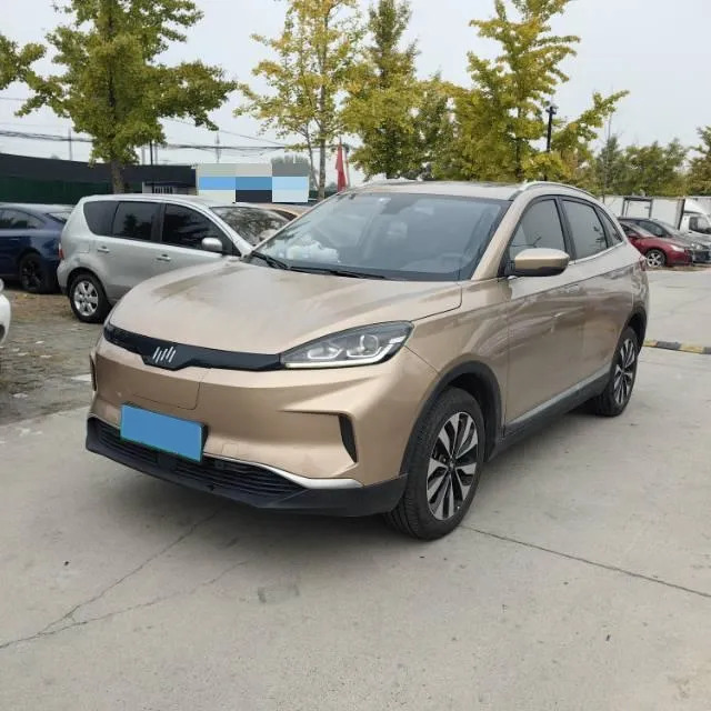Used 2019 Weltmeister EX5 for Export from China ACU9552366 | AutoCango