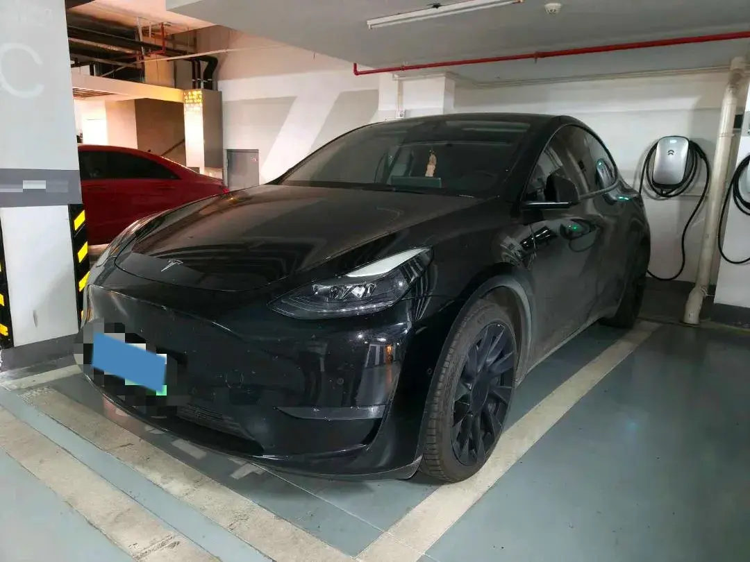Used 2021 Tesla Model Y for Export from China ACU9553052 | AutoCango