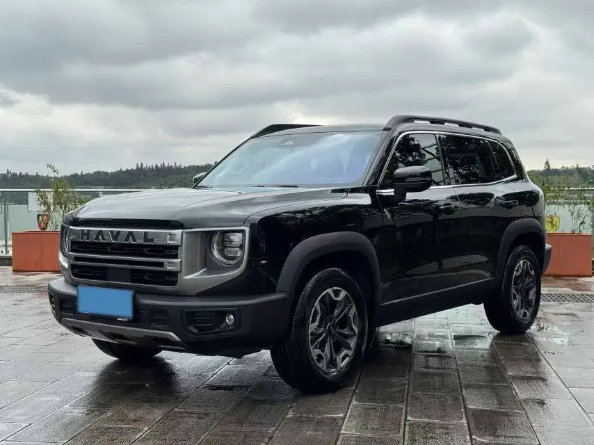 Used 2024 Haval Dargo for Export from China ACU9593530 | AutoCango