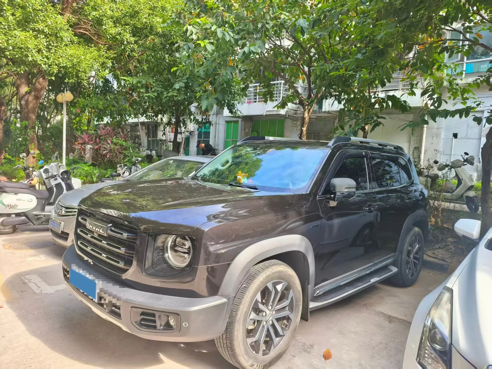 Used 2021 Haval Dargo for Export from China ACU9637216 | AutoCango