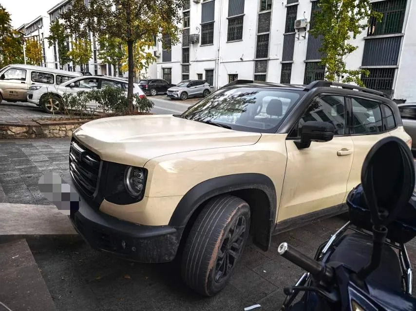 Used 2021 Haval Dargo for Export from China ACU9637200 | AutoCango