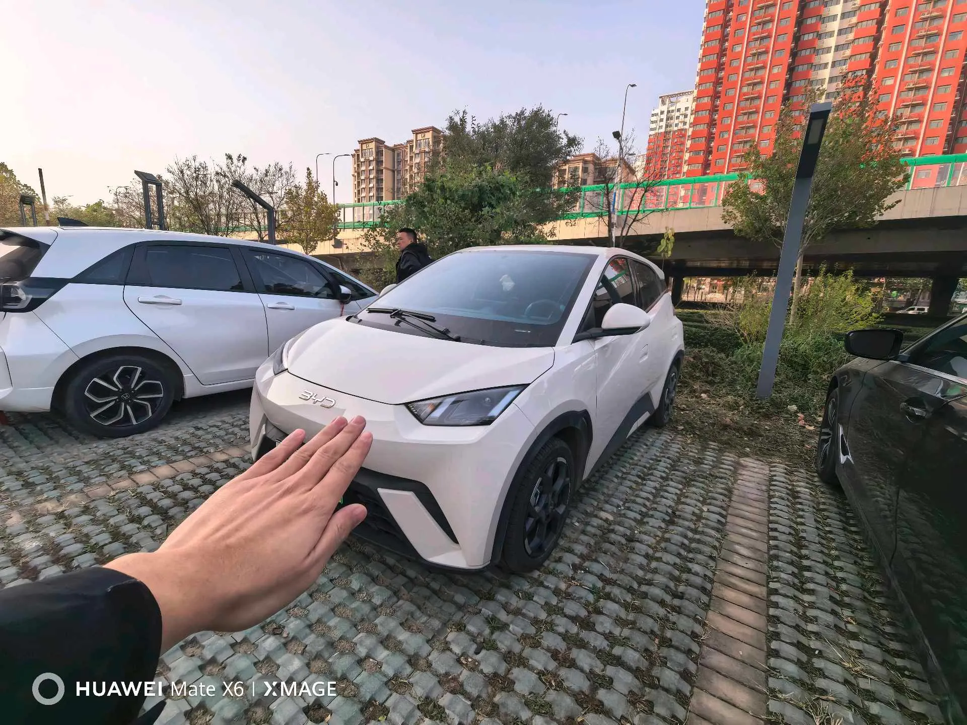 Used 2023 BYD Seagull for Export from China ACU9693289 | AutoCango