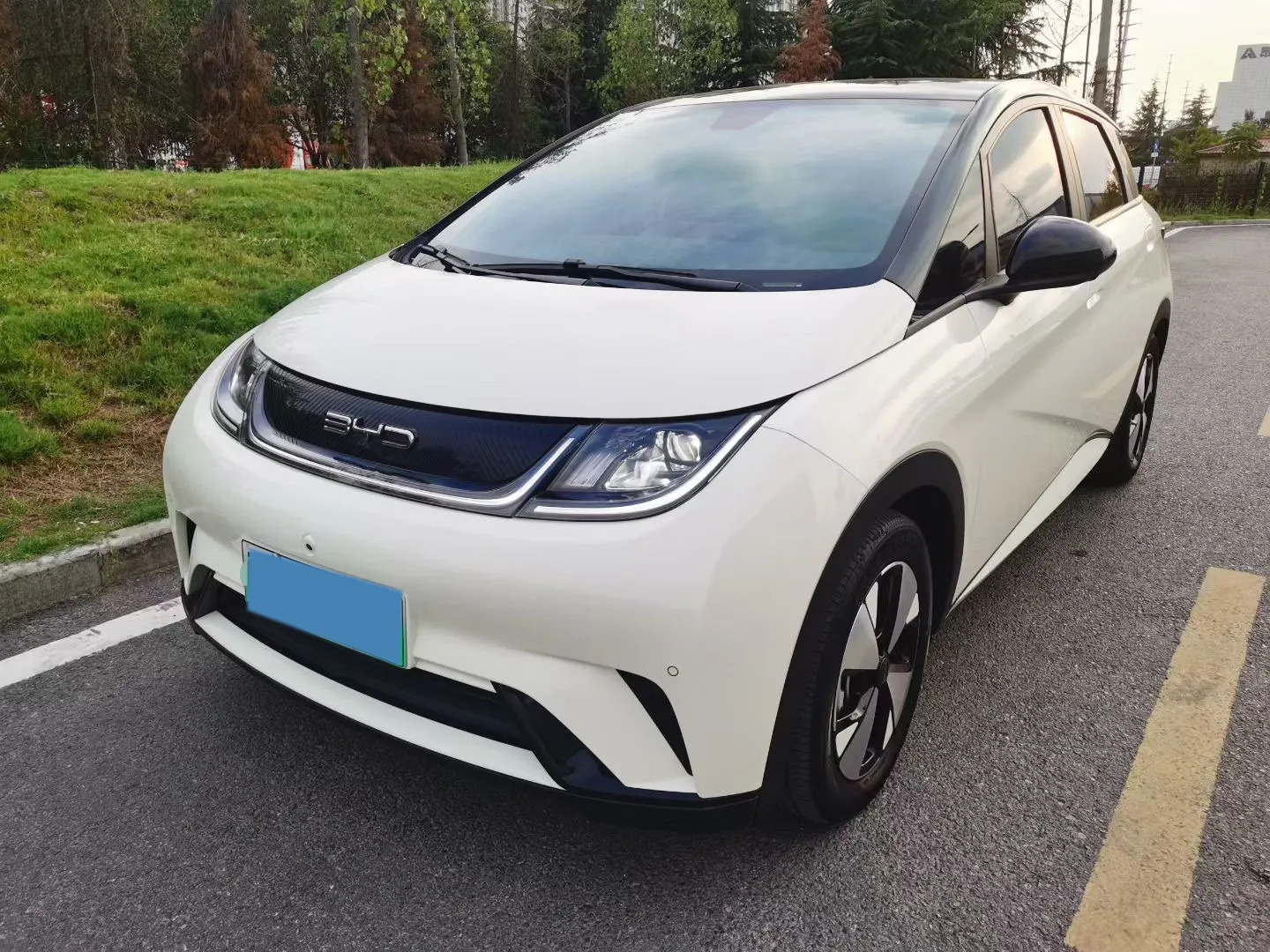 Used 2021 BYD Dolphin for Export from China ACU9695392 | AutoCango