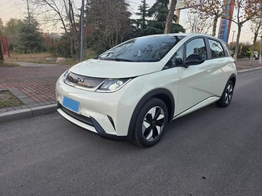 Used 2025 BYD Dolphin for Export from China ACU9717124 | AutoCango