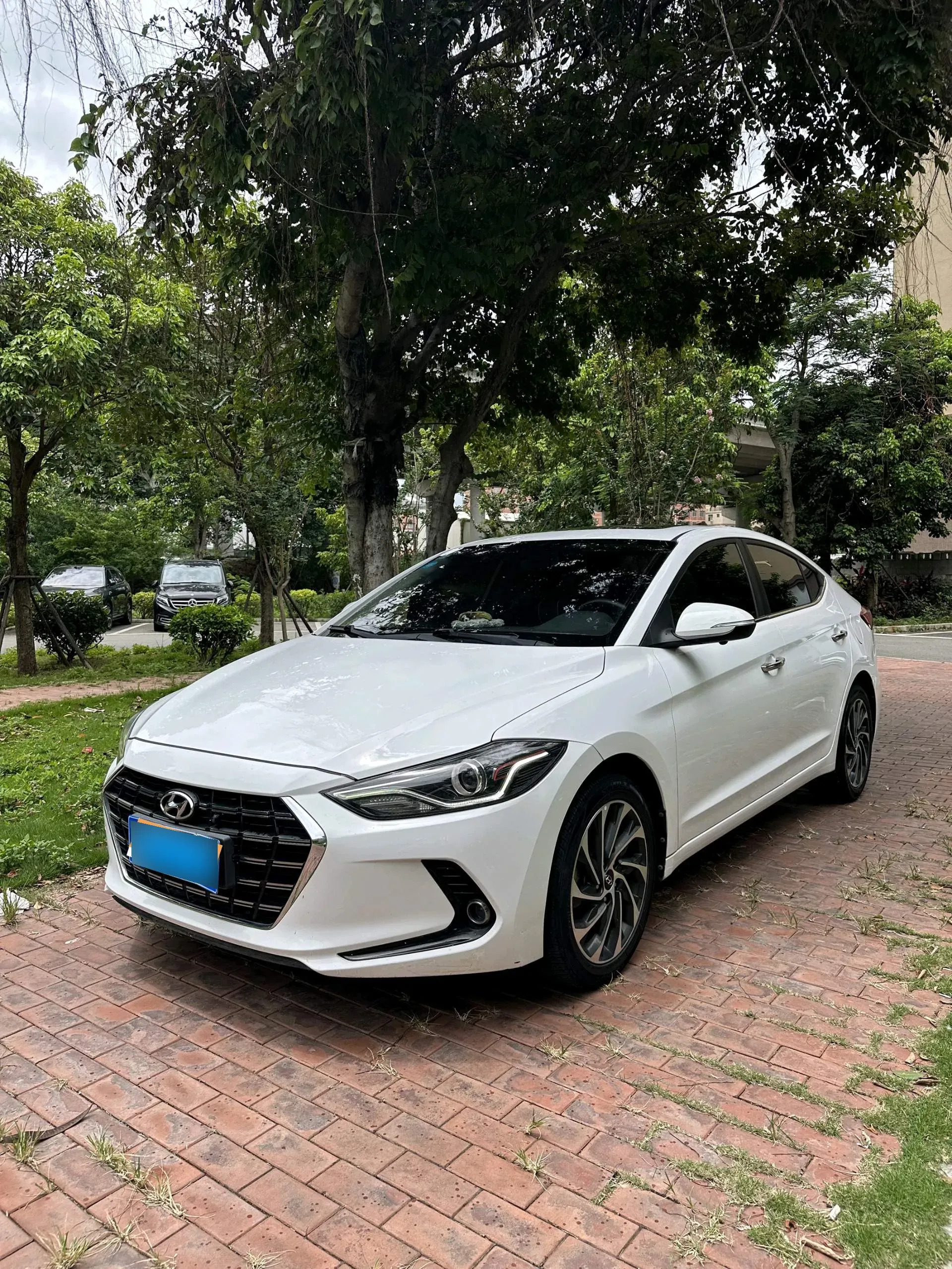 Used 2019 Hyundai Elantra for Export from China ACU9203606 | AutoCango