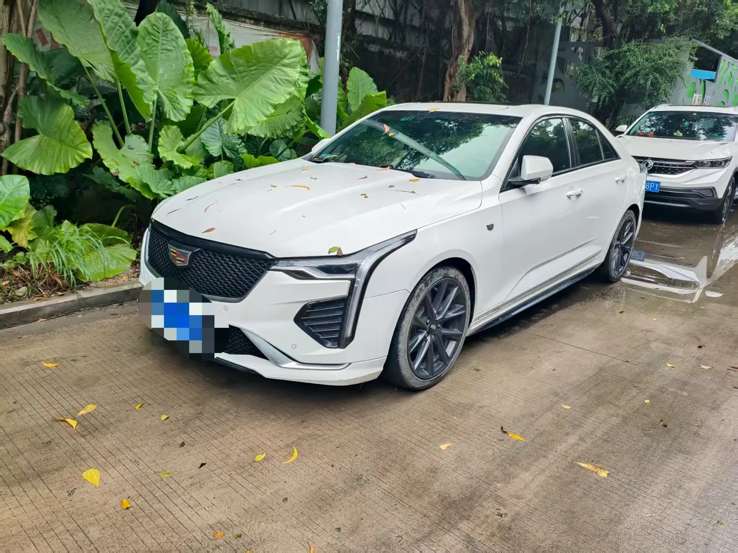 Used 2022 Cadillac CT4 for Export from China ACU9385315 | AutoCango