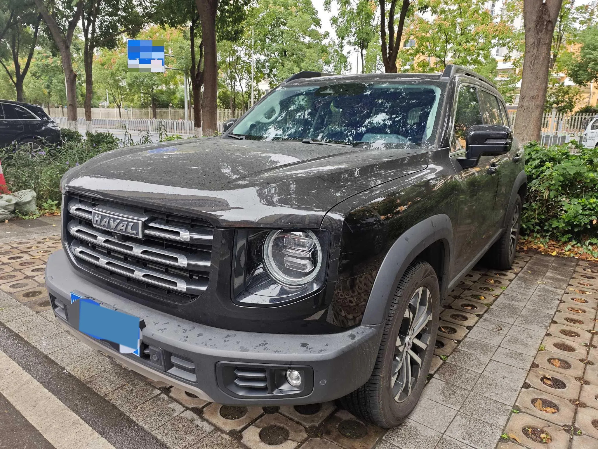 Used 2021 Haval Dargo for Export from China ACU9527157 | AutoCango